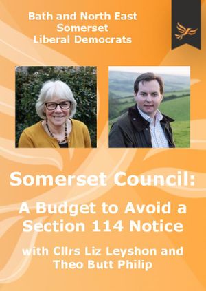 Somerset Council: A budget to Avoid a Section 114 Notice - Liberal ...
